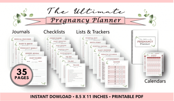 The Best Pregnancy Planner: Every Pregnancy Checklist You Need!